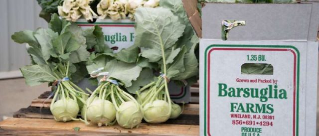 Wholesale Produce Farms & Partners | Riviera Produce