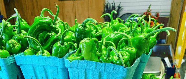 Wholesale Produce Farms & Partners | Riviera Produce