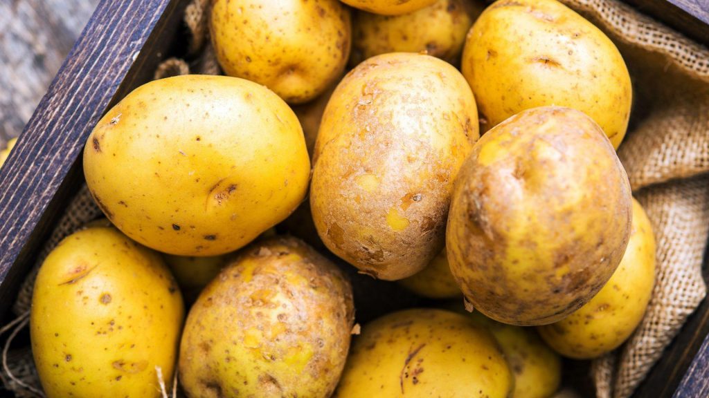 Beat the 2024 Veg Shortage Buy in Bulk | Riviera Produce