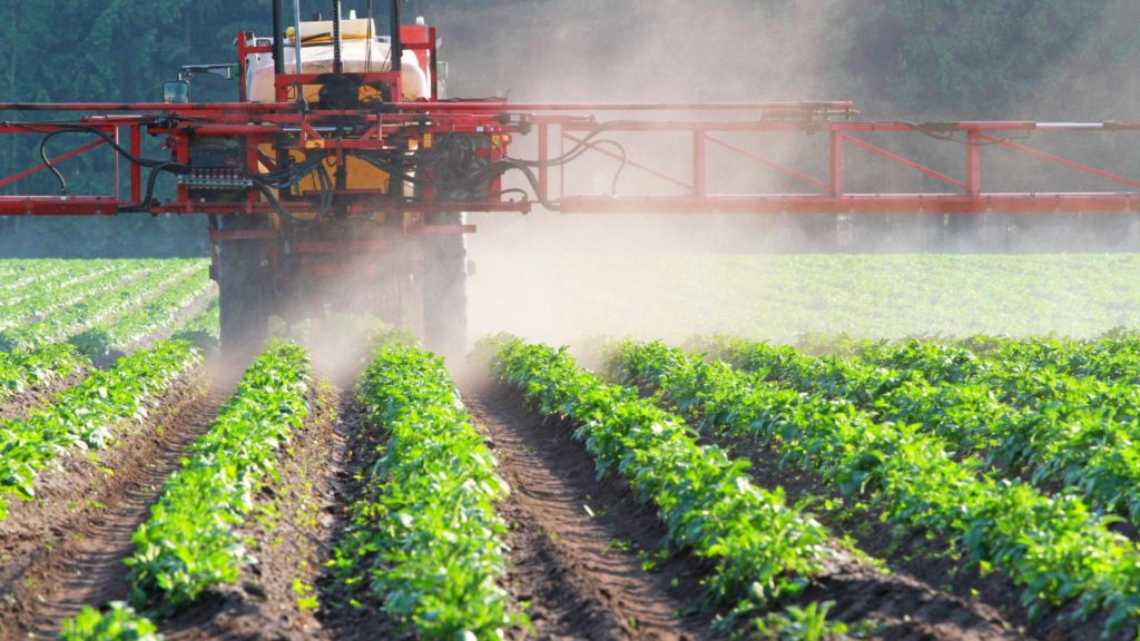 The Complete Guide to Pesticides in Produce | Riviera Produce