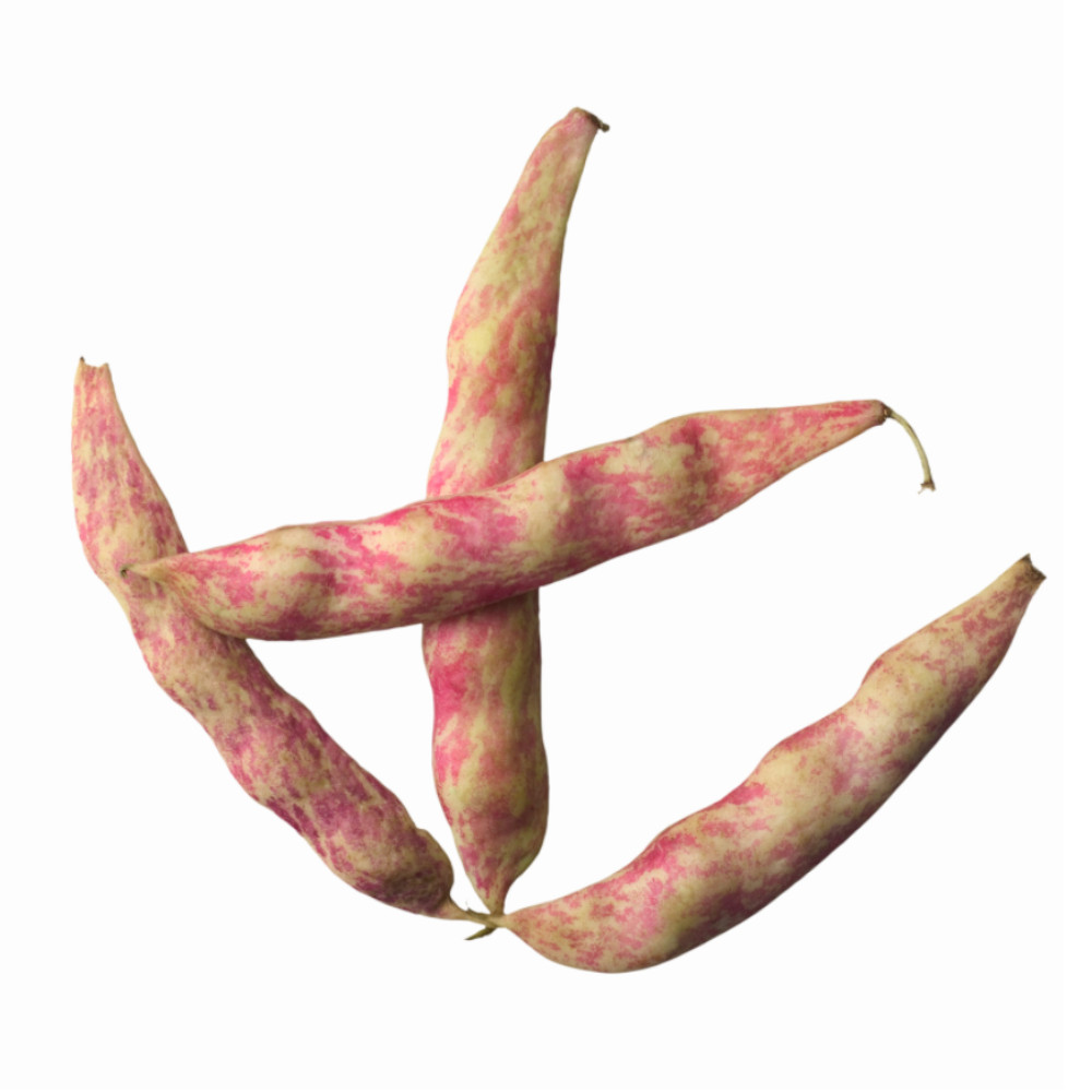 What Foods are In Season Now | Fresh Fall Fruits and Vegetables