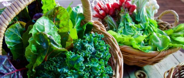 Wholesale Produce Farms & Partners | Riviera Produce