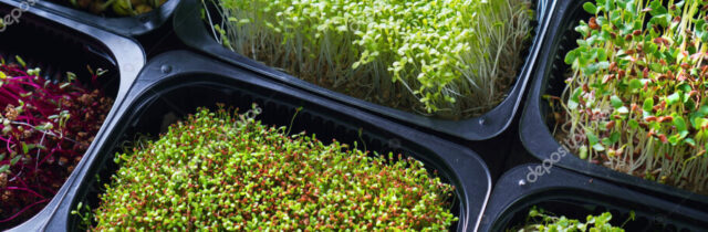 Fresh Origins | Riviera Produce