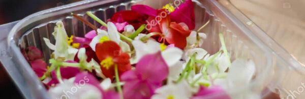 Fresh Origins | Riviera Produce