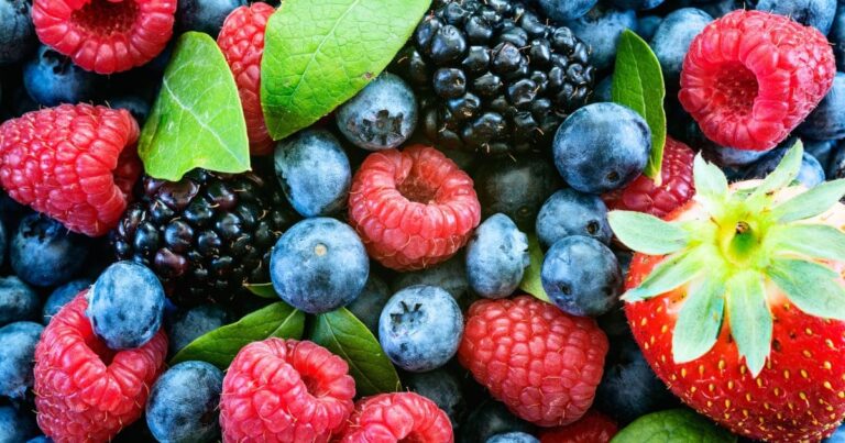 Berries Fruit Guide: What’s in Season in NYC