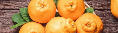 Weekly Wholesale Fresh Produce Deals | Riviera Produce